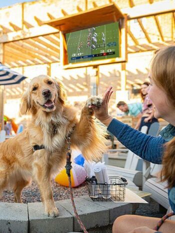 Park and Field Chicago | Venue, Restaurant & Beer Bar – Party Spaces ...