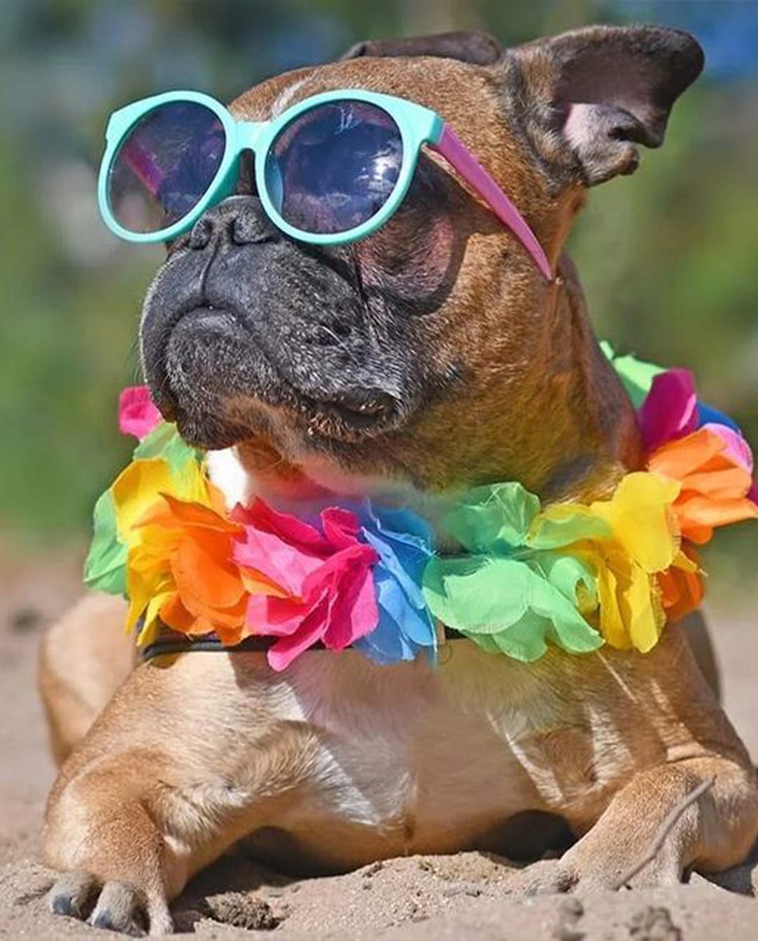 Social Events – Park and Field Chicago | Venue, Restaurant & Beer Bar