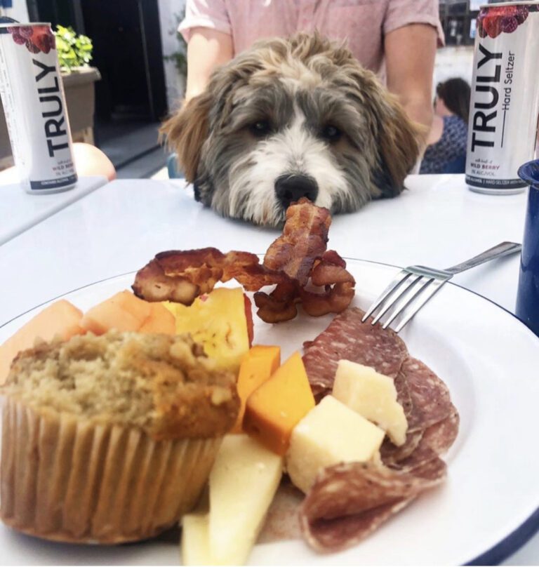Park and Field Chicago | Venue, Restaurant & Beer Bar – Party Spaces ...